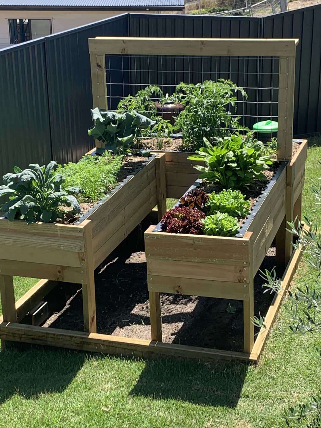 Common Mistakes to Avoid When Using Raised Garden Beds | Gardening Tips – Corrogarden Pty Ltd